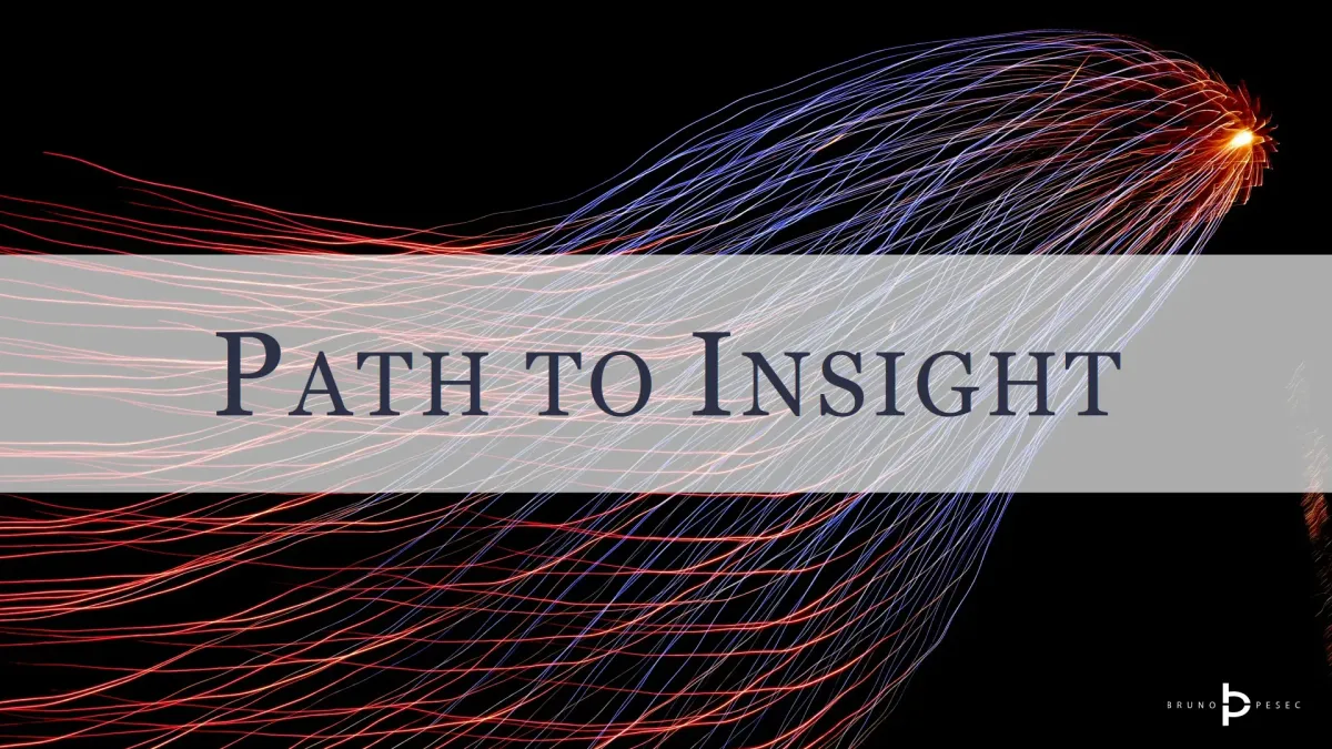 Path to insight
