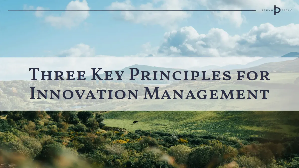 Three key principles for innovation management